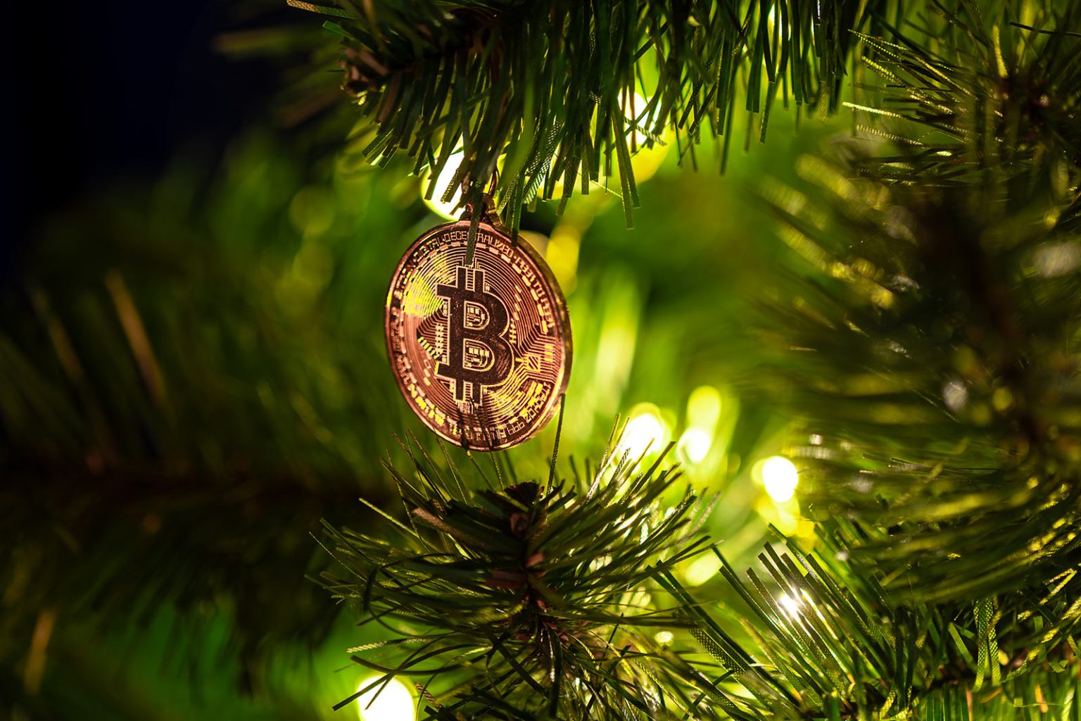 Bitcoin Basics: Understanding the World's First Cryptocurrency - Youlives